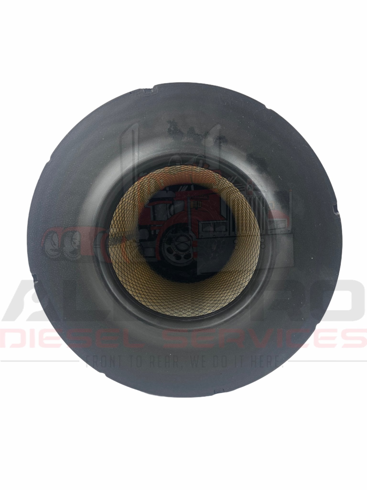 Fleetguard AF25139M Primary Air Filter For Freightliner and Internatio ...