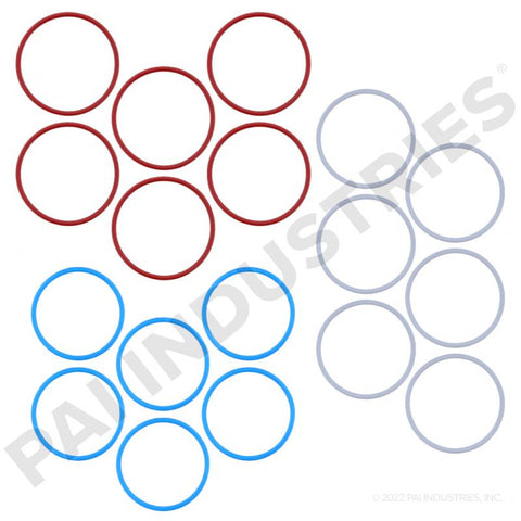 PAI 121190 Injector O-Ring Kit For N14 Engines – All Pro Truck Parts